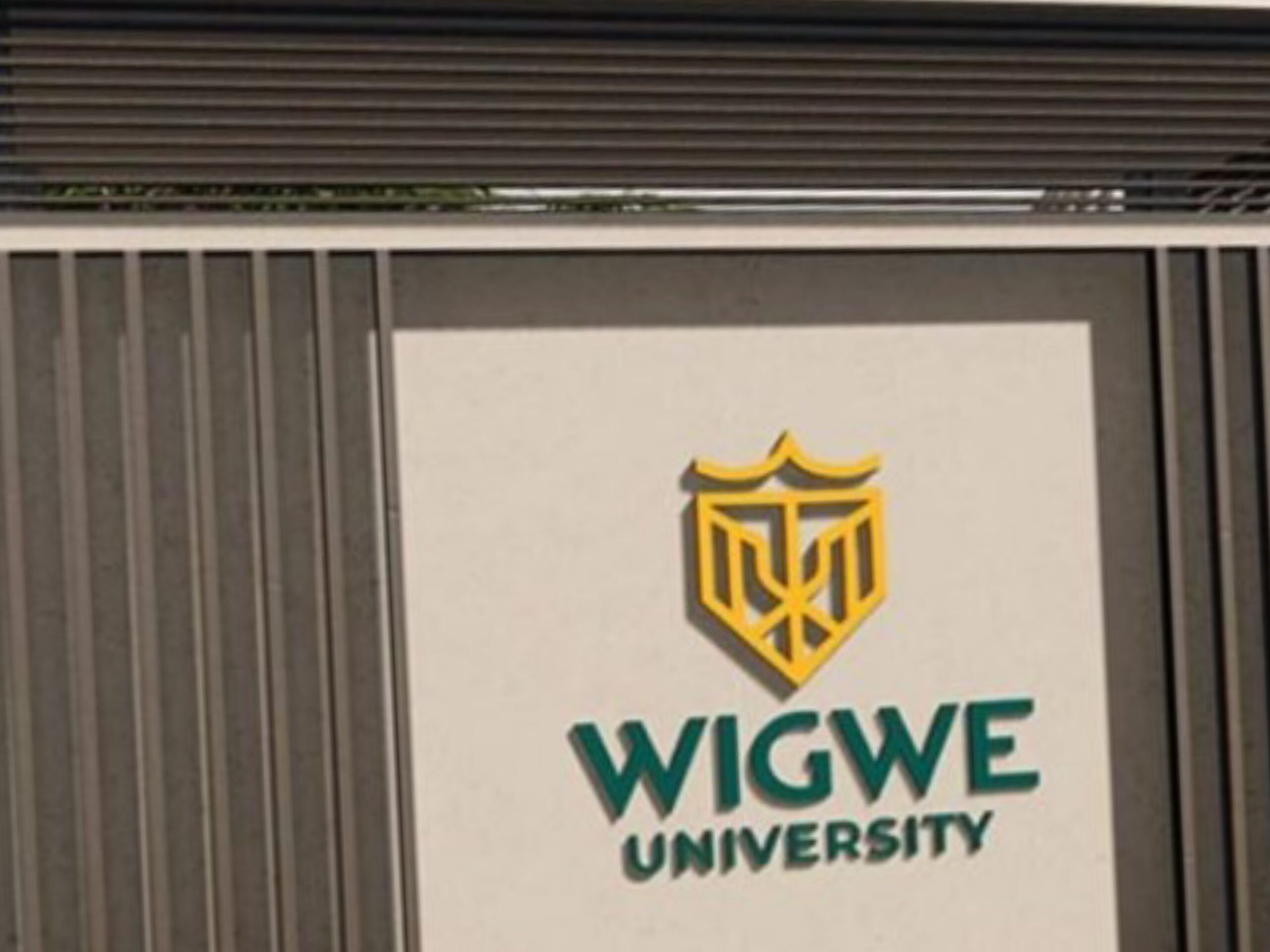 Wigwe University Registrar Dies From Wrong Blood Transfusion