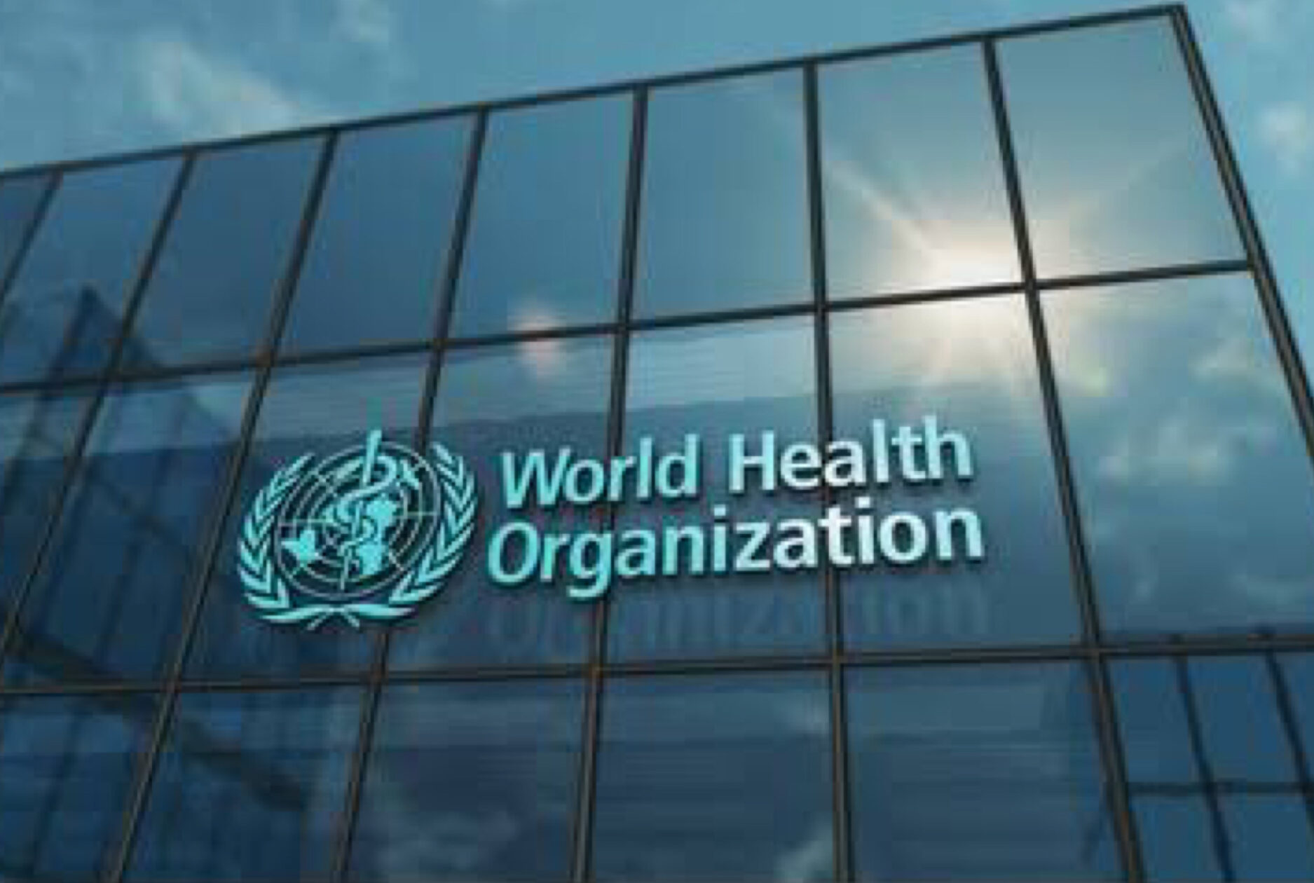 14 African Nations Support WHO With $45M Investment