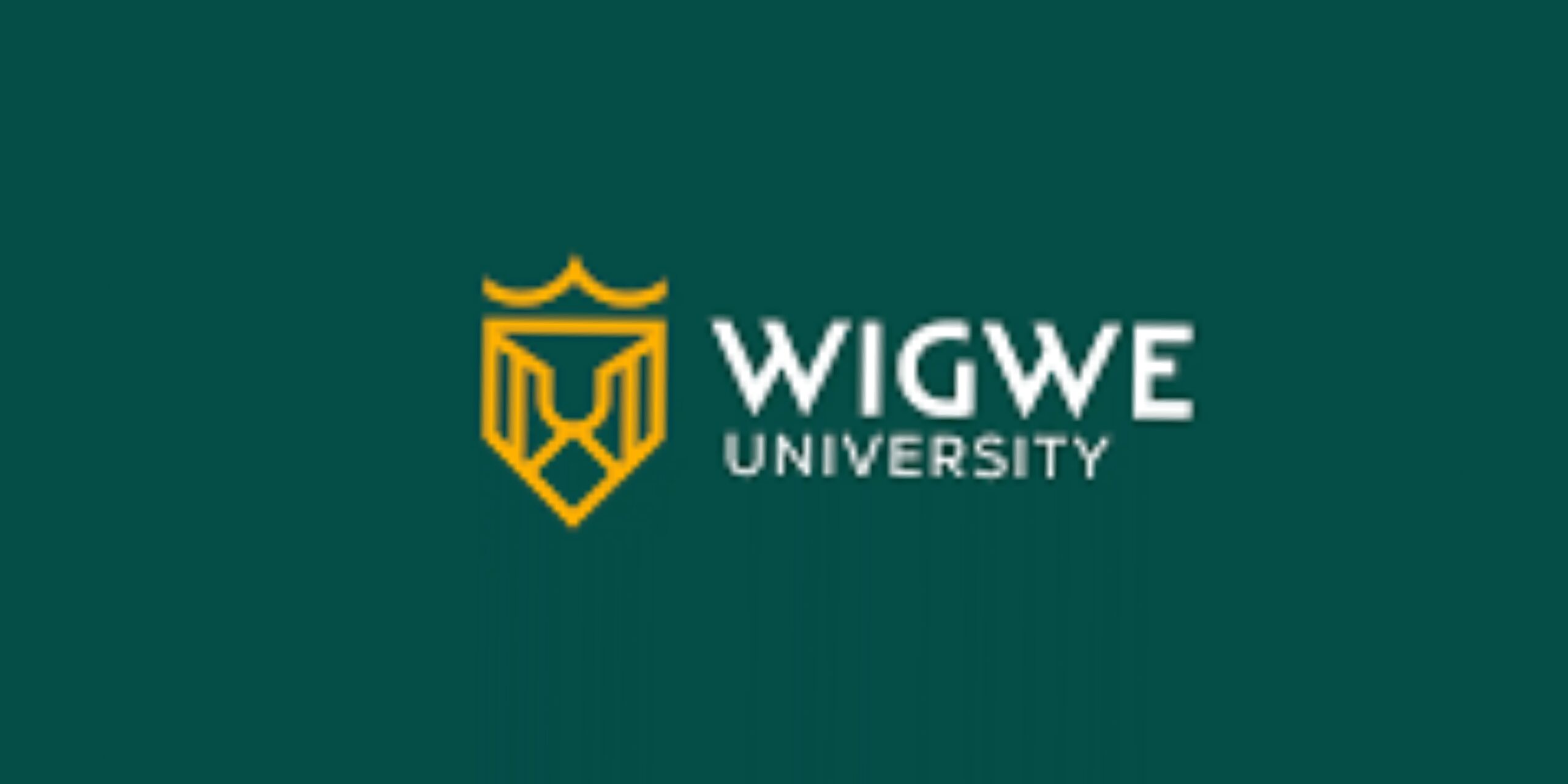 Wigwe University Offers 100 Scholarships To Students