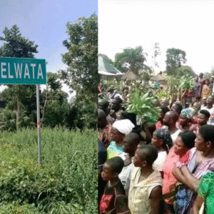 Army Recruitment Begins: Key Requirements & How To Apply